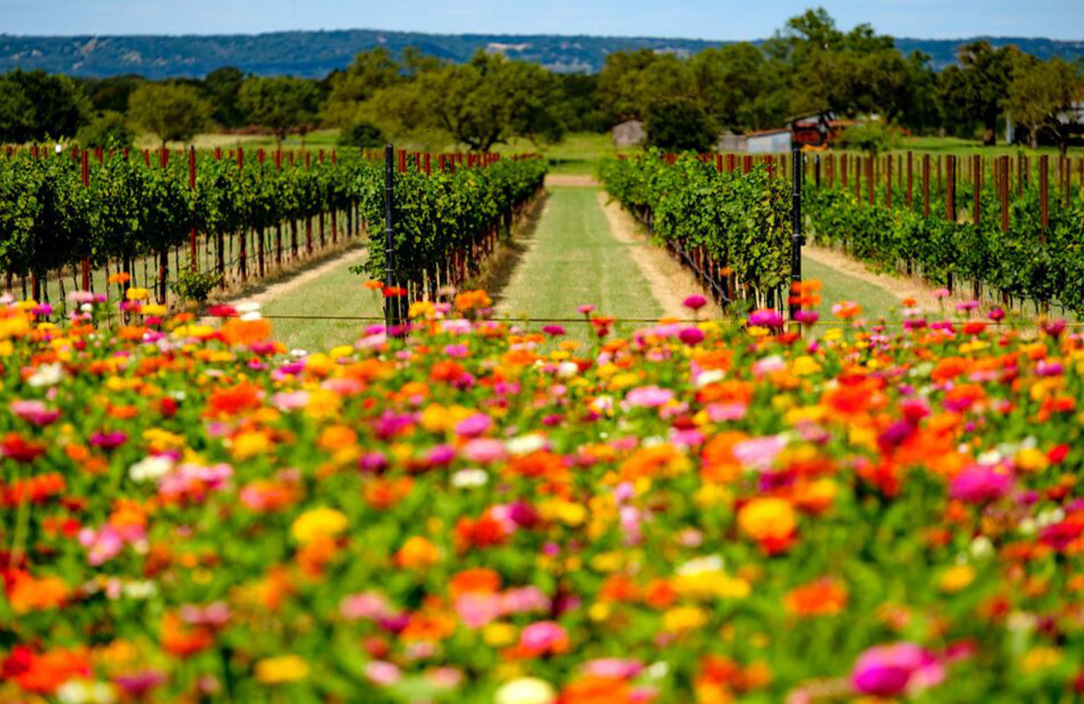 Explore Local Attractions – What to See & Do in Castell, Texas